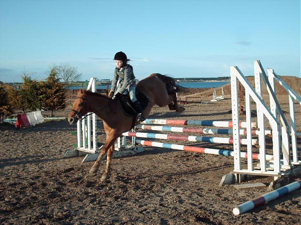 Edenside Stables, Dundee Riding School / Stables / Equestrian Centres ...