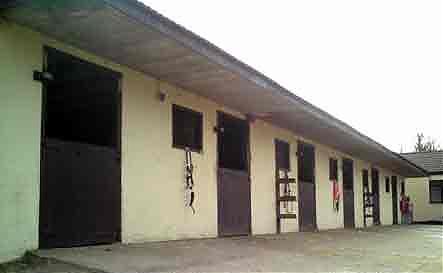 Pine Ridge Riding School, London Riding School / Stables / Equestrian ...