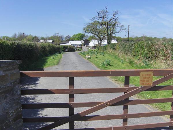 Priory Stables, Swansea Riding School / Stables / Equestrian Centres ...
